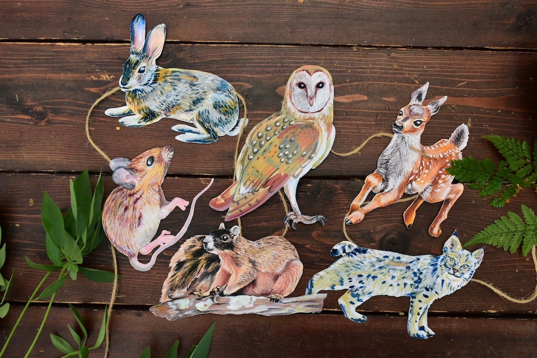 Woodland Animals Illustrated Paper Garland - Owl, Rabbit, Bobcat, Deer ...