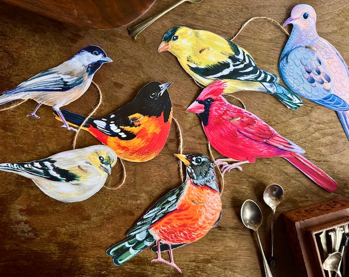 Song Birds Illustrated Paper Garland - Bird Watcher Gift - Bird Garland ...