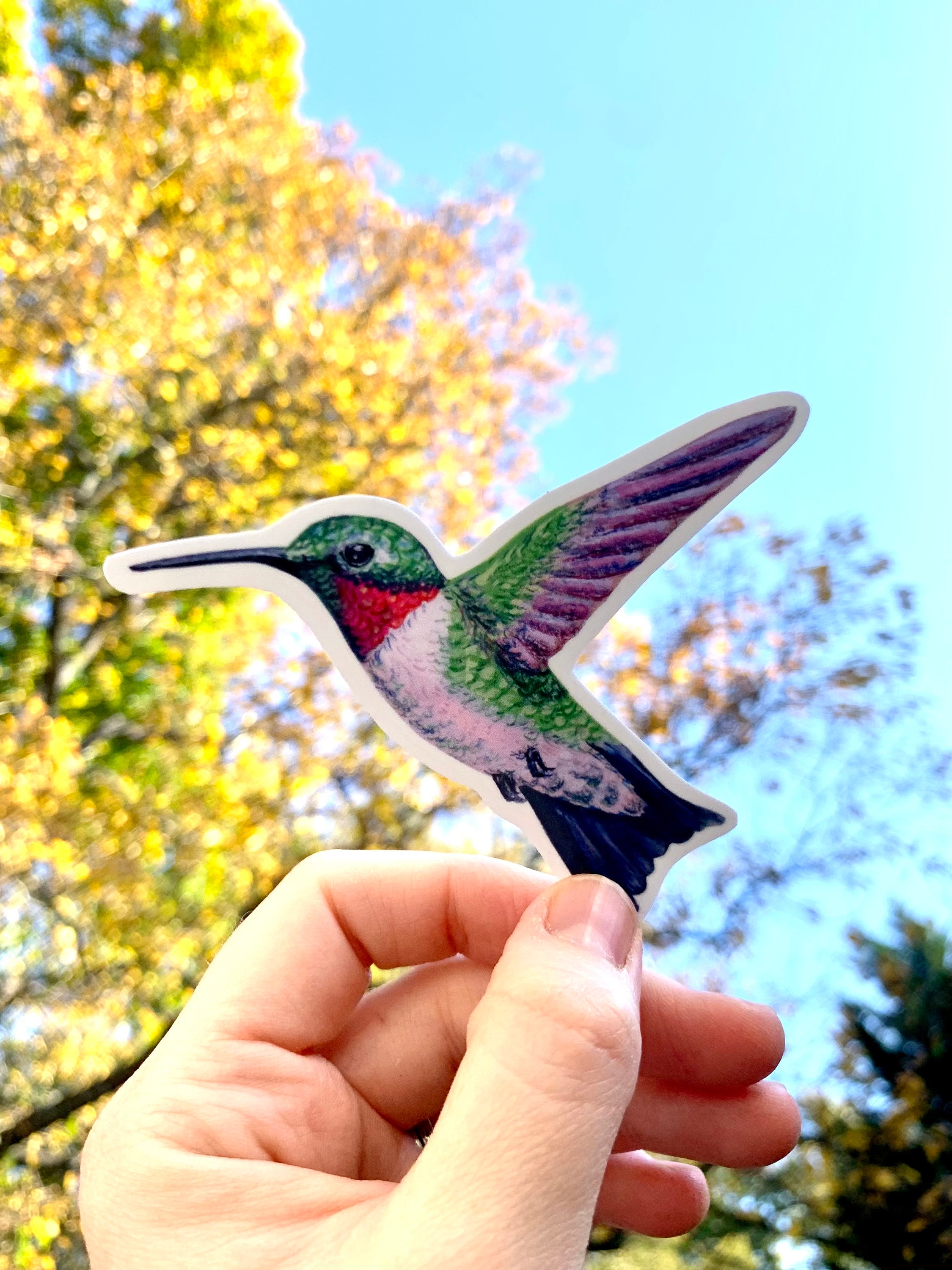 Humming Bird Weatherproof Vinyl Sticker - Etsy