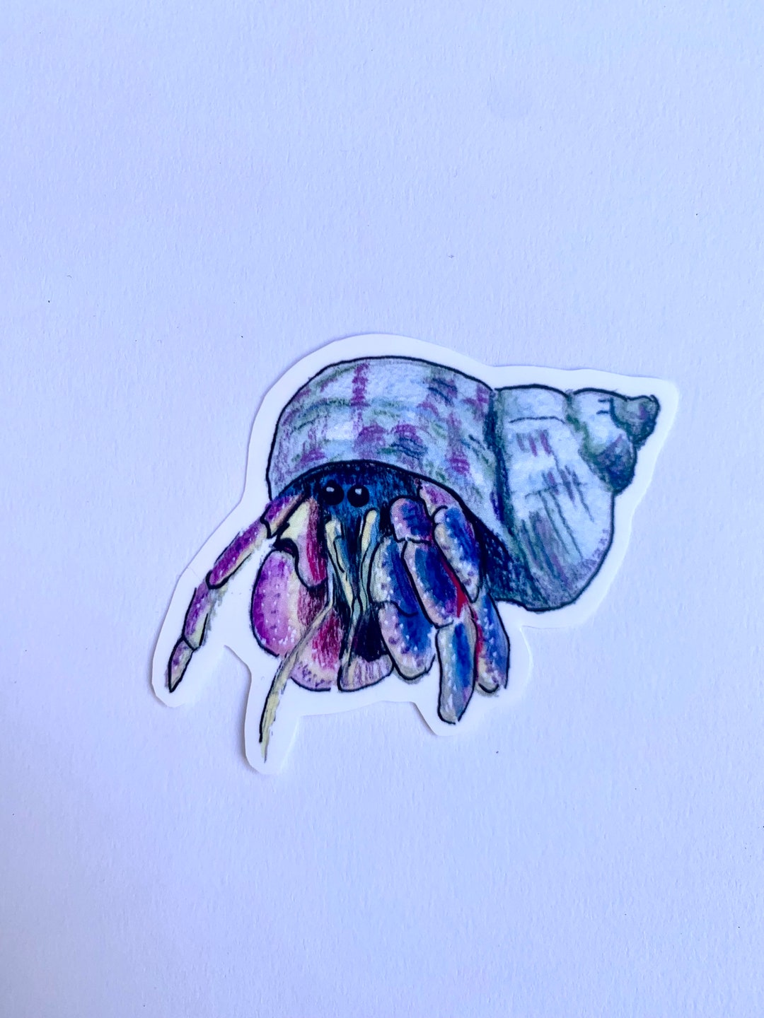 Hermit Crab Weatherproof Vinyl Sticker - Etsy