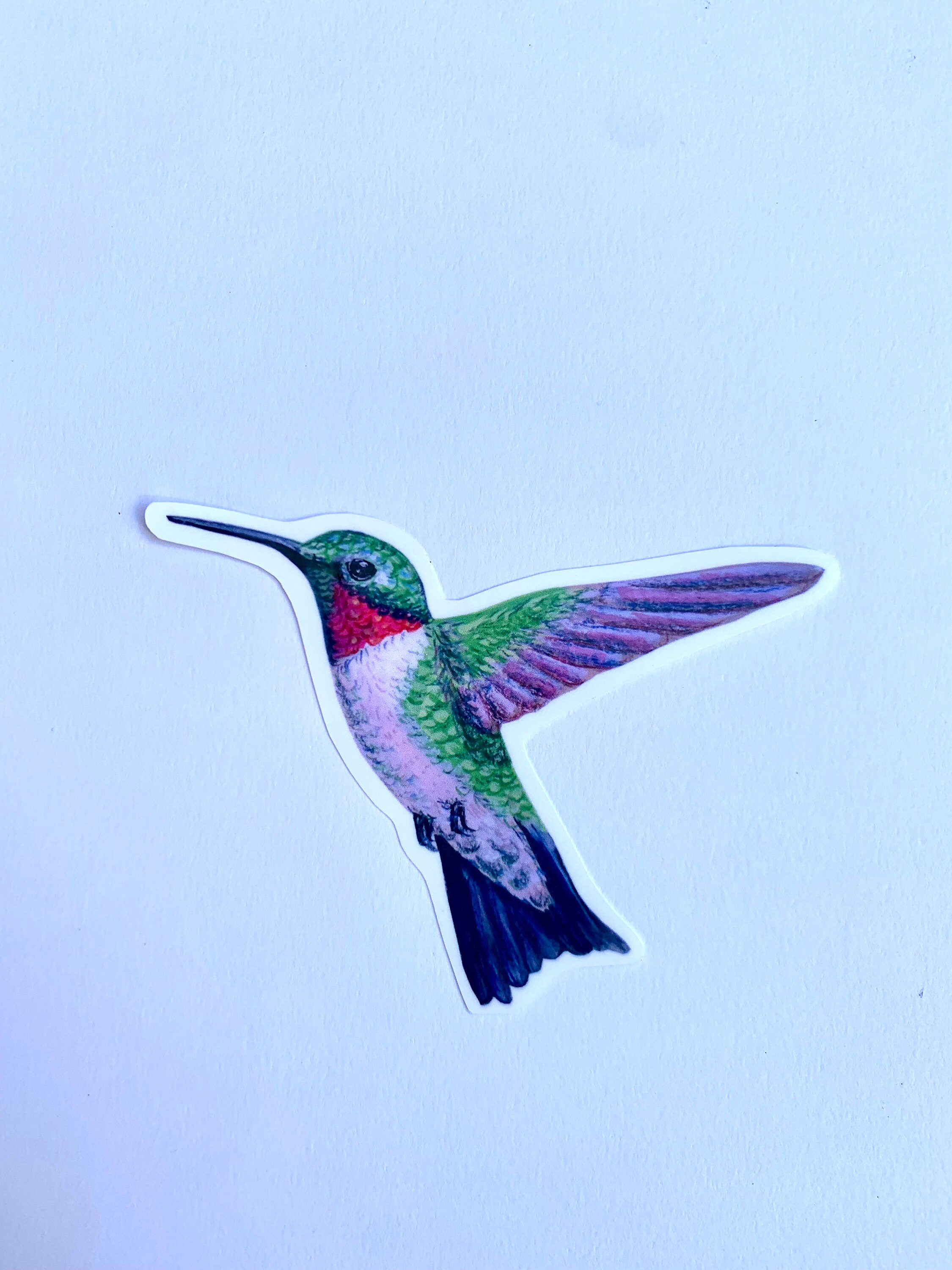 Humming Bird Weatherproof Vinyl Sticker - Etsy