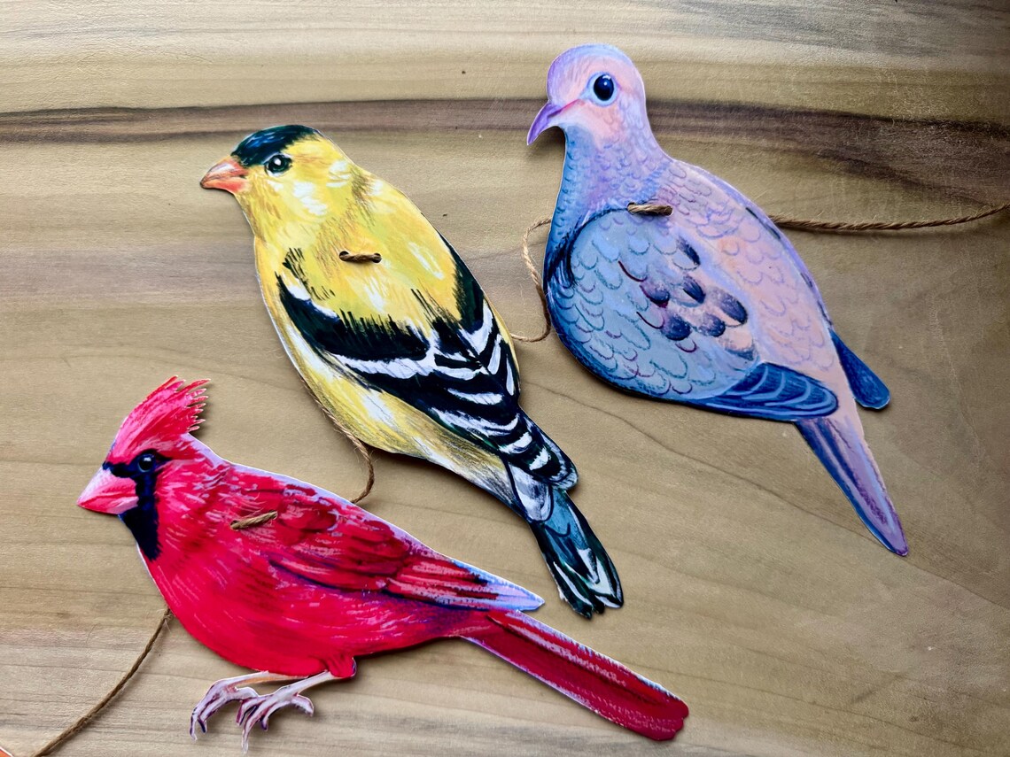 Song Birds Illustrated Paper Garland - Bird Watcher Gift - Bird Garland ...