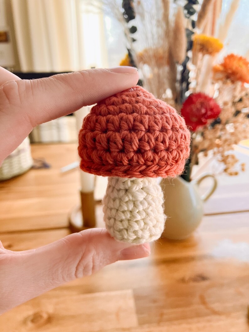 Crochet Mushroom Keychain Pattern - Etsy