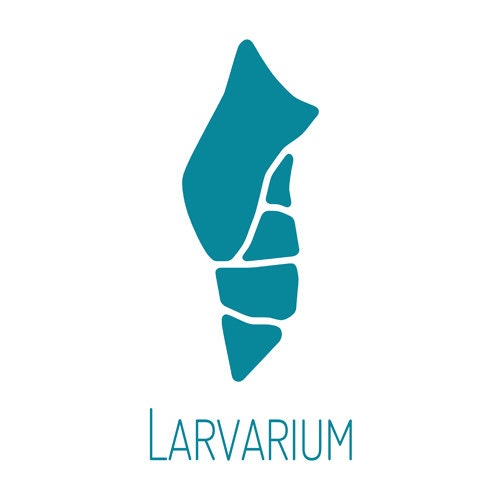 Larvarium - Etsy
