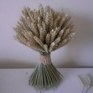 Dried Wheat Bouquet, Natural Home Decor, Dried Wedding Flowers, Rustic ...