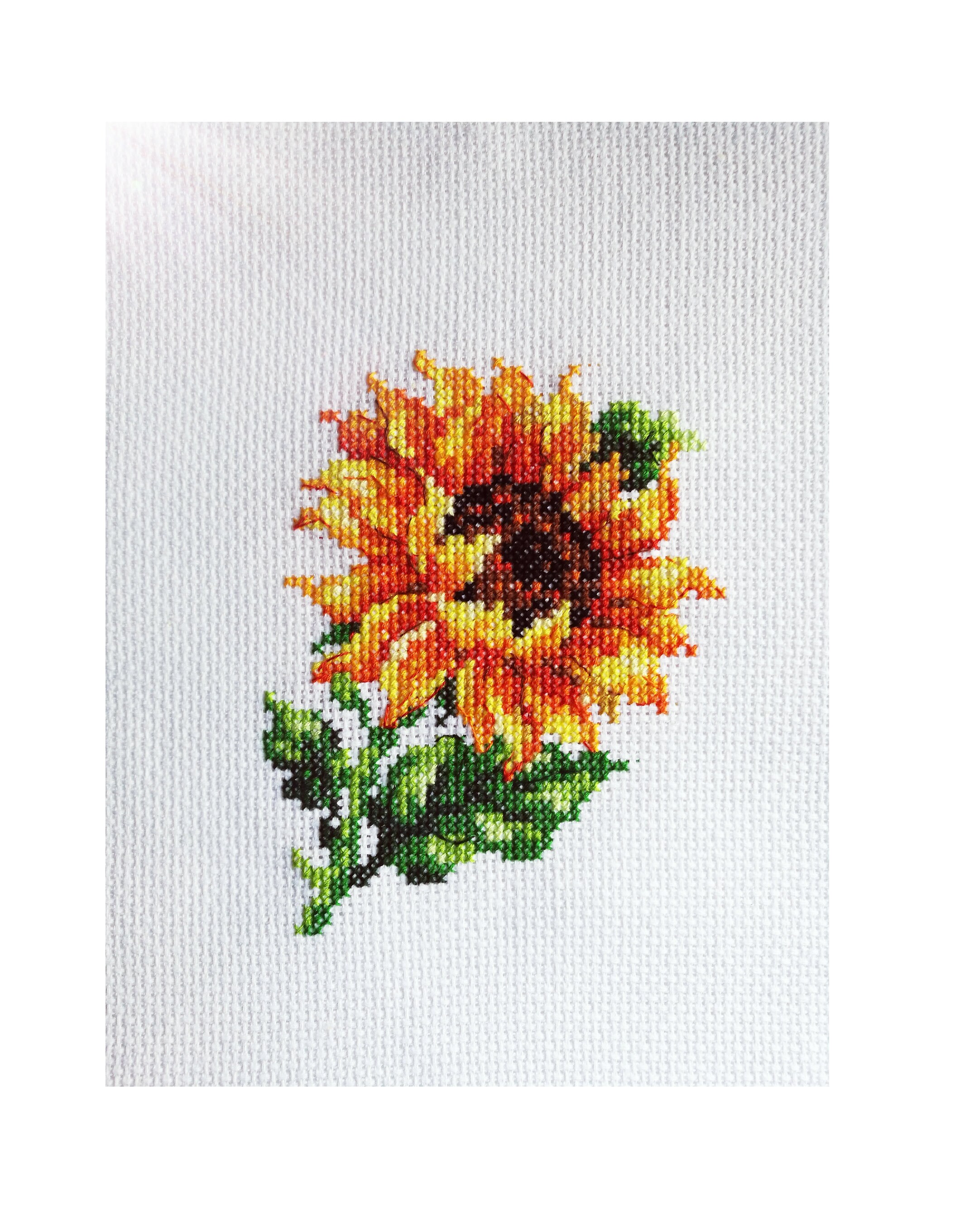 Sunflower/helianthus. Cross Stitch Kit for Beginners. 14 Count Aida ...