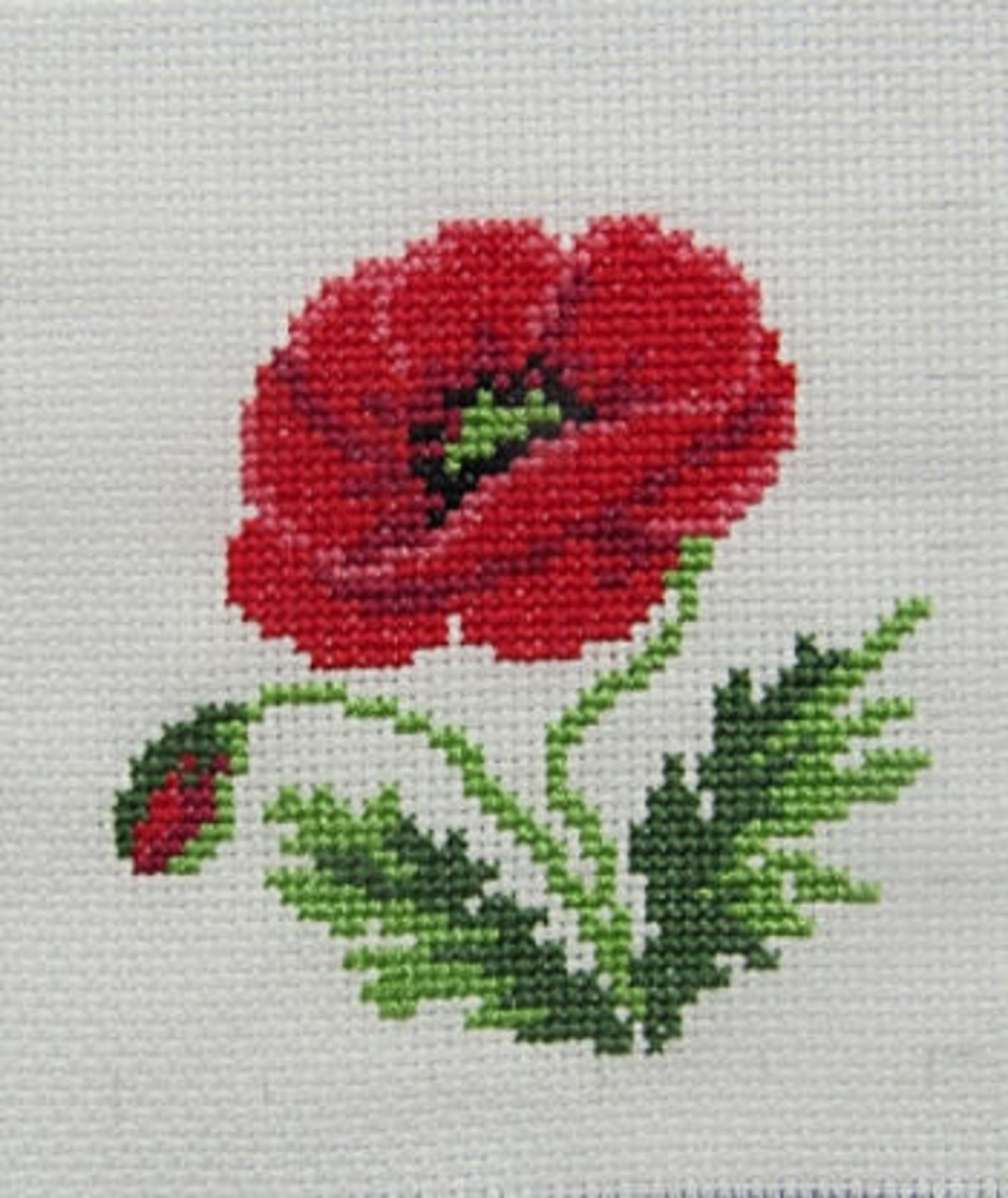 Poppy. Cross Stitch Kit for Beginners. 14 Count Aida. DMC. - Etsy