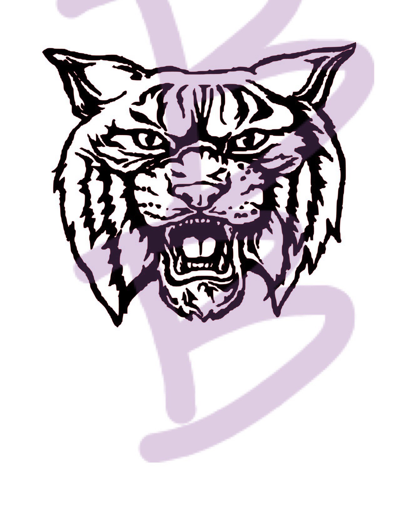 Wildcat Mascot Drawing