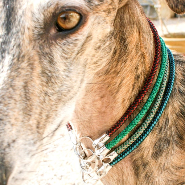 House Collar for Italian Greyhound - Etsy