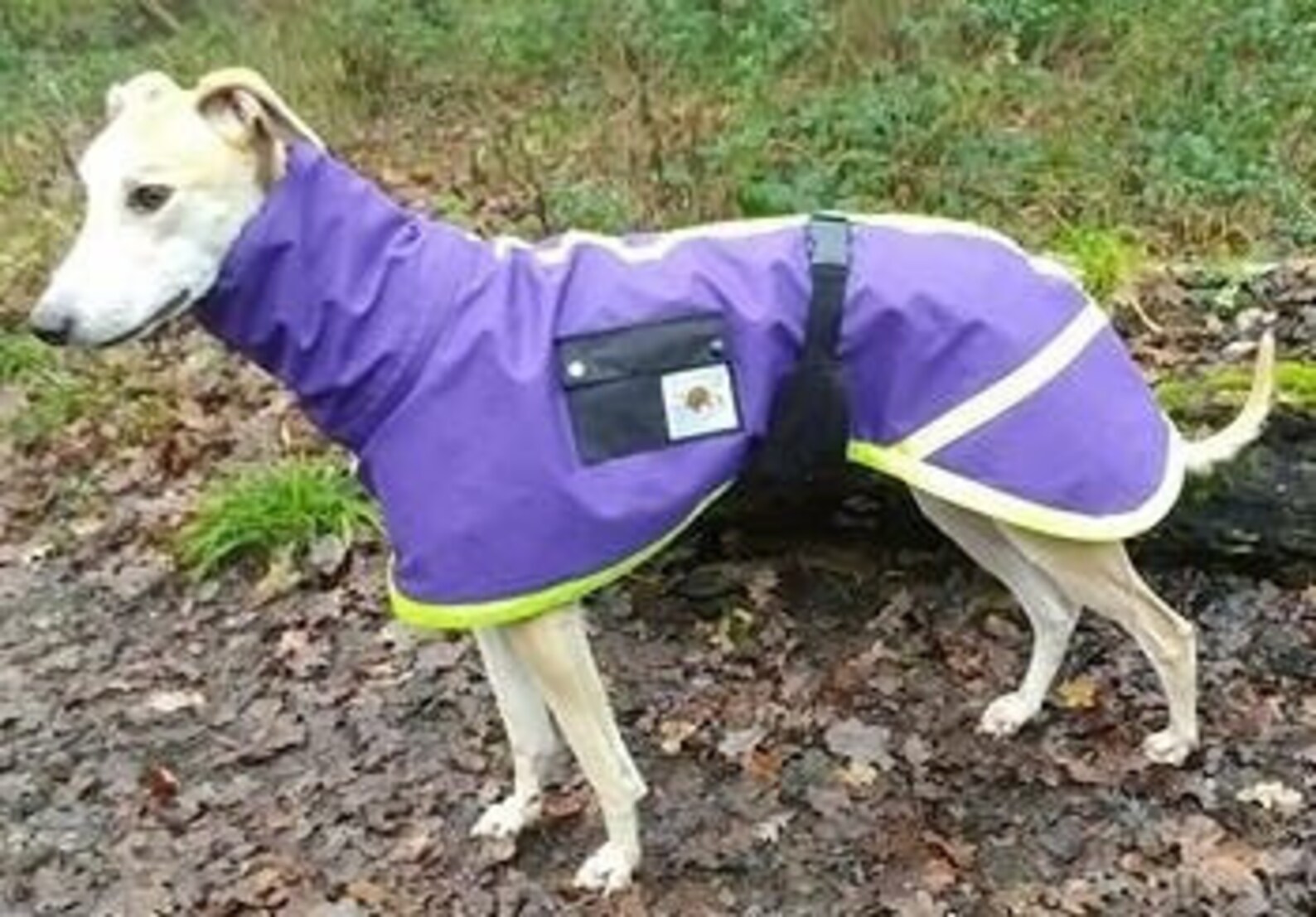 Waterproof GREYHOUND Coat WHIPPET LURCHER Sighthound | Etsy UK