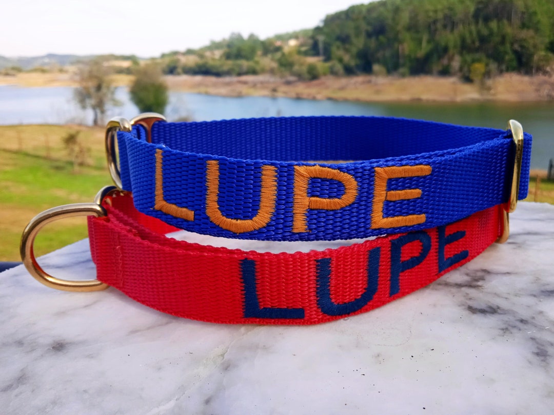 PERSONALISED, Strong Adjustable Webbing Dog Collars, Adjustable Slip ...