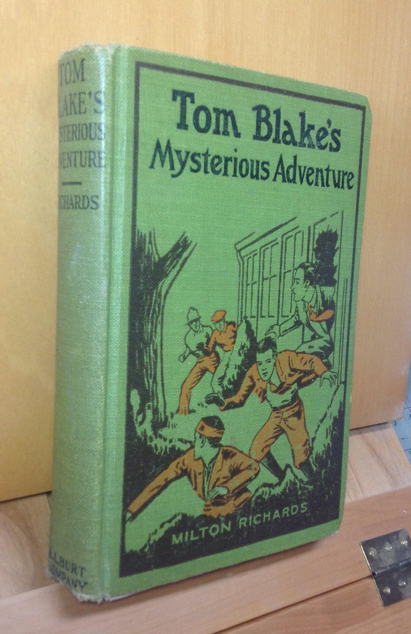 Tom Blakes Mysterious Adventure by Milton Richards