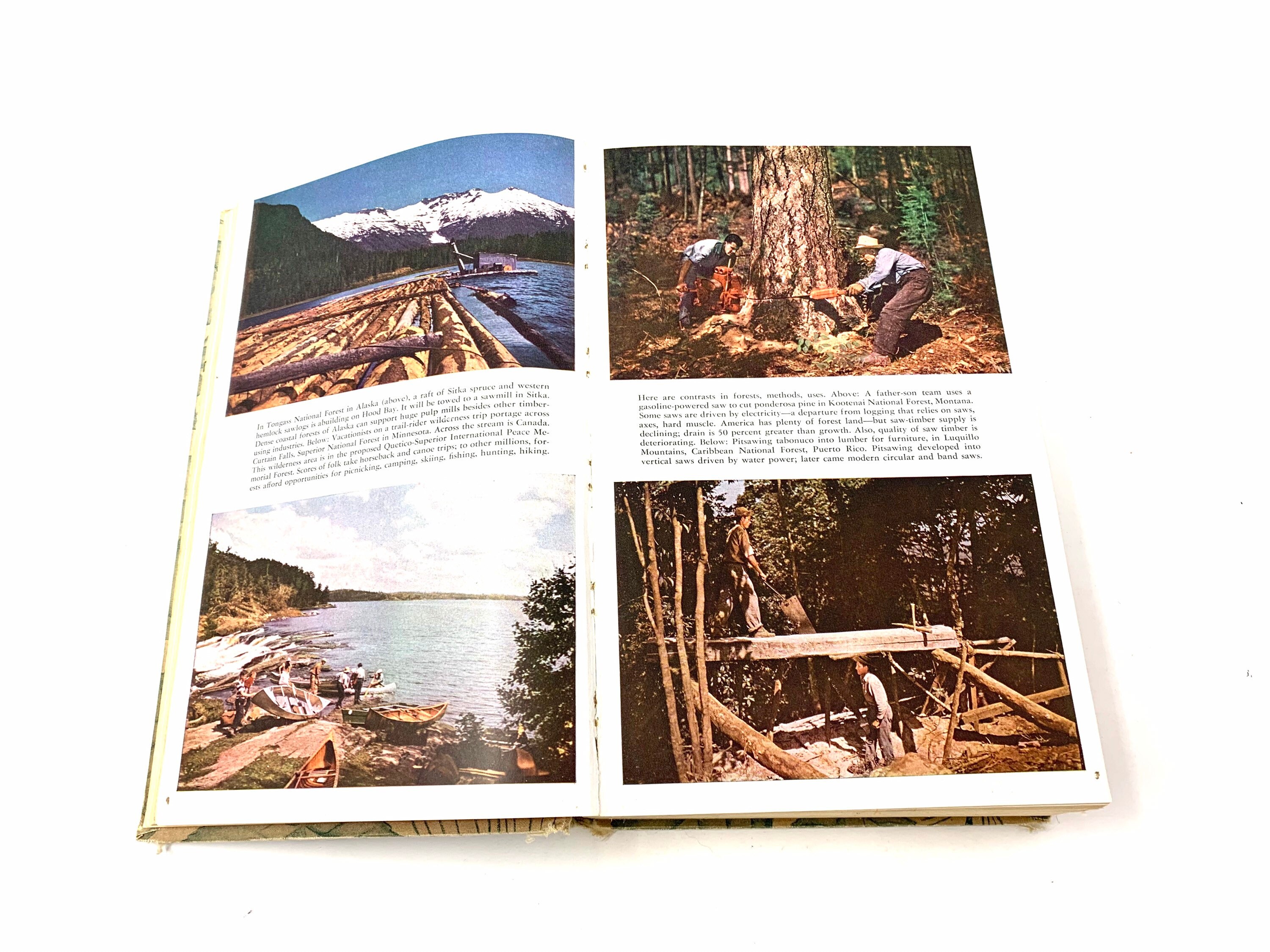 Trees~The Yearbook of Agriculture~1949~Collectible~Good Condition~Free ...