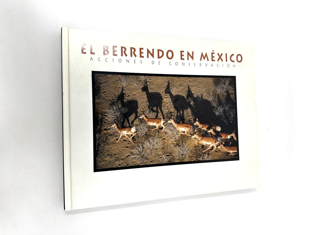 El Berrendo En Mexico~2006~manuel Valdez~first Edition~agrupacion ...