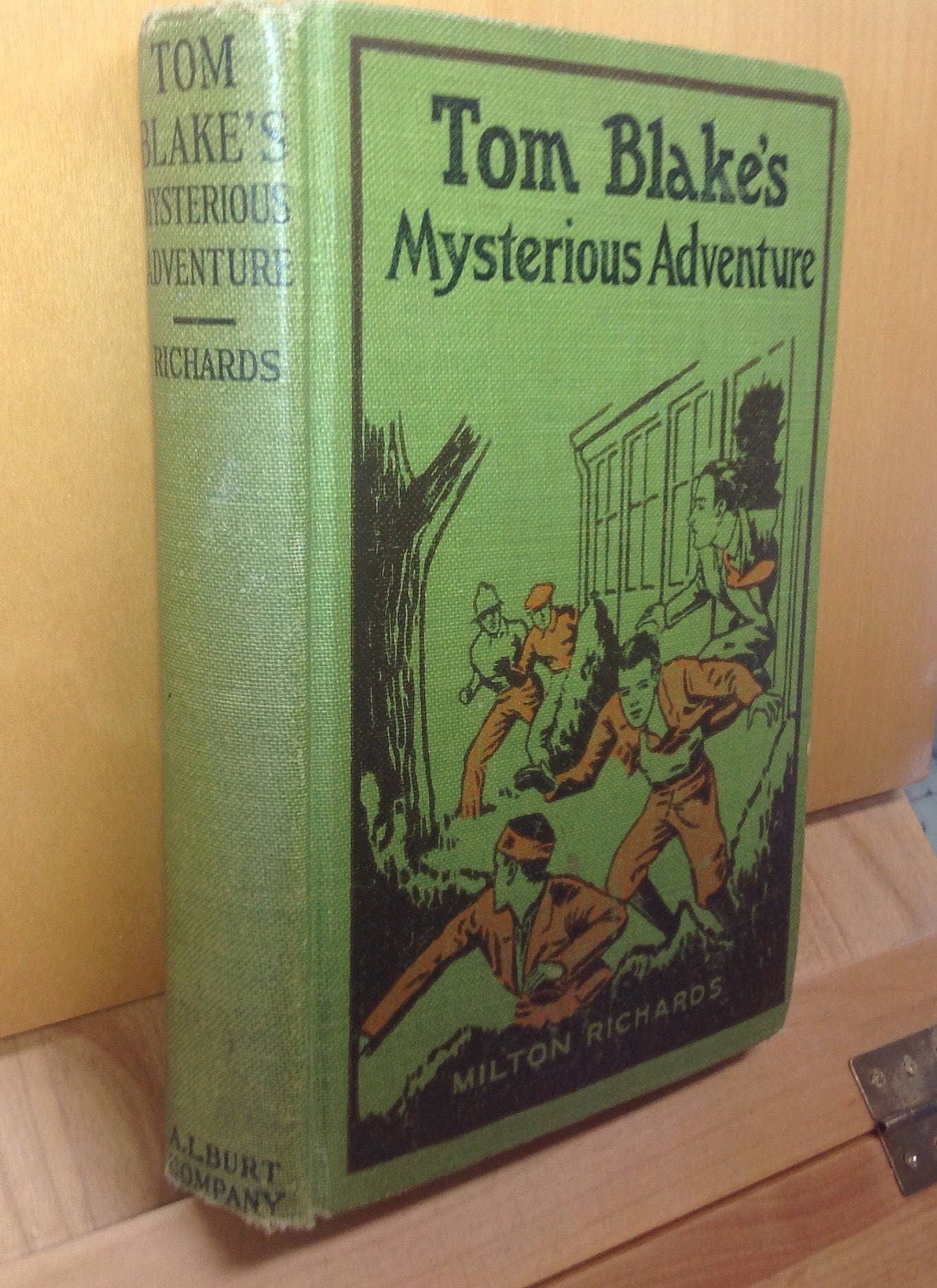 Tom Blakes Mysterious Adventure by Milton Richards