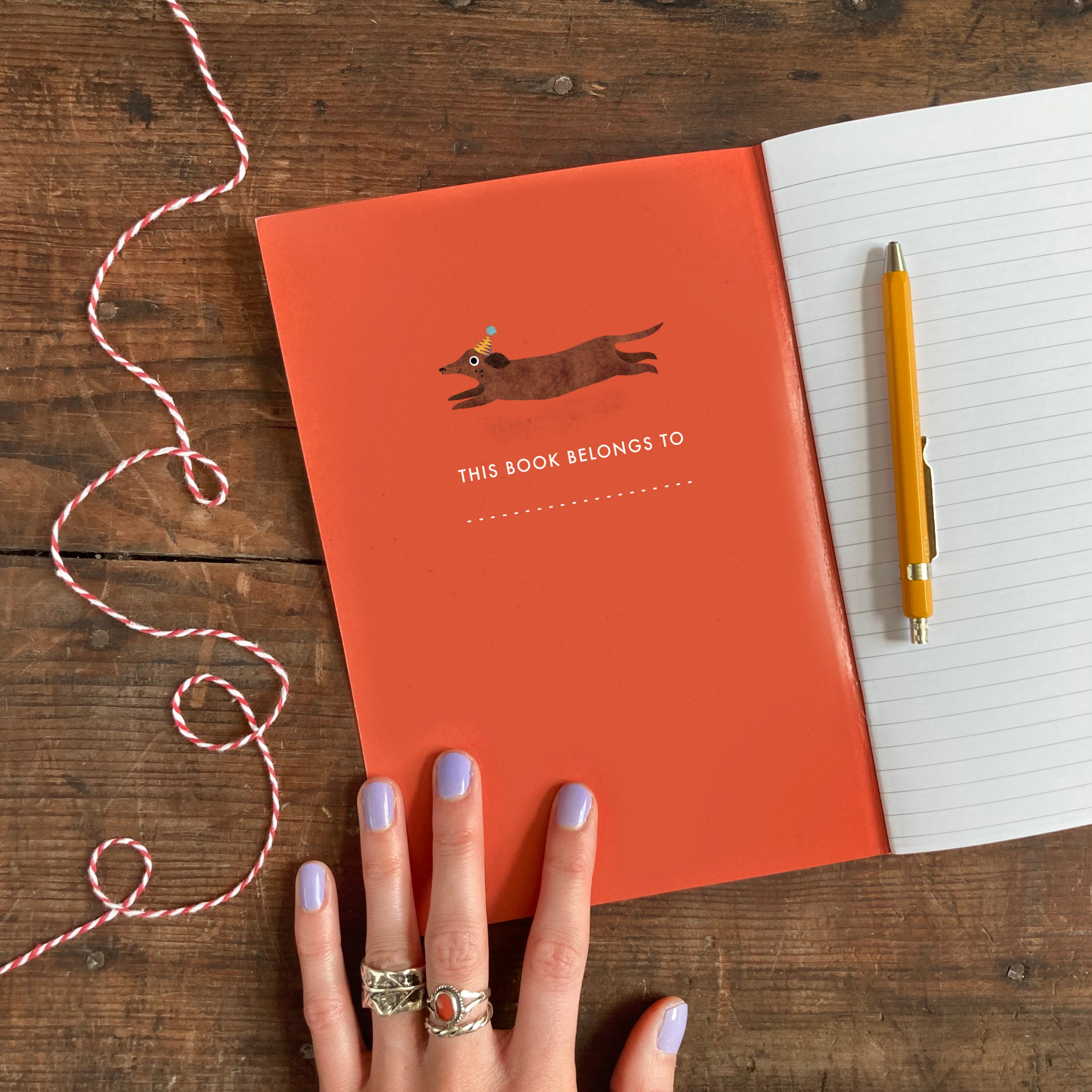 A5 Sausage Dog Notebook / Recycled Illustrated Lined Notepad / - Etsy