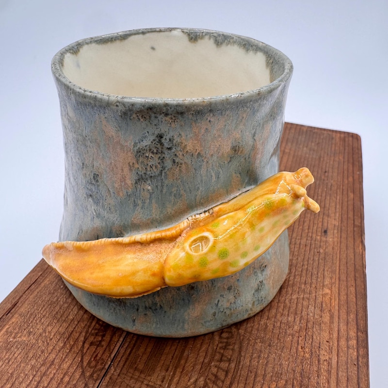 Ceramic Slug - Etsy
