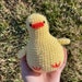 Pear Duck Plush Amigurumi Crochet Pattern PATTERN ONLY - Etsy