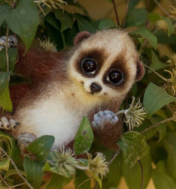 Needle Felted Slow Loris Cute Pygmy Slow Loris Realistic - Etsy