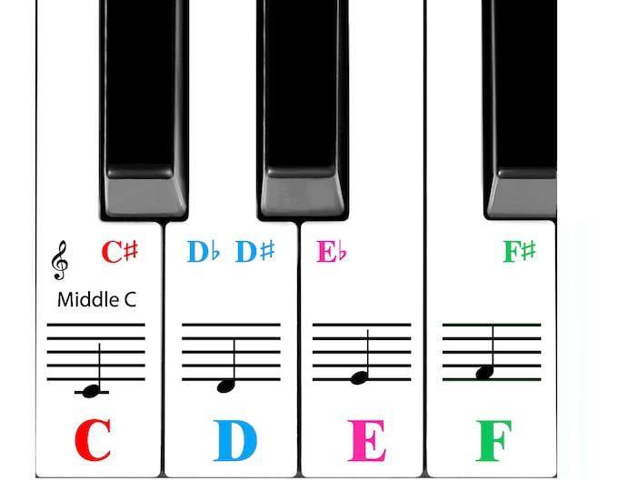 Piano Sticker for 61 Key Keyboards Transparent and Removable - Etsy