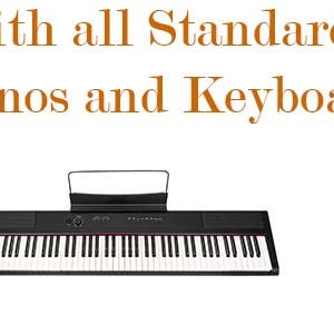Colorful Piano Keyboard Notes for Beginner, Removable Note Labels for ...