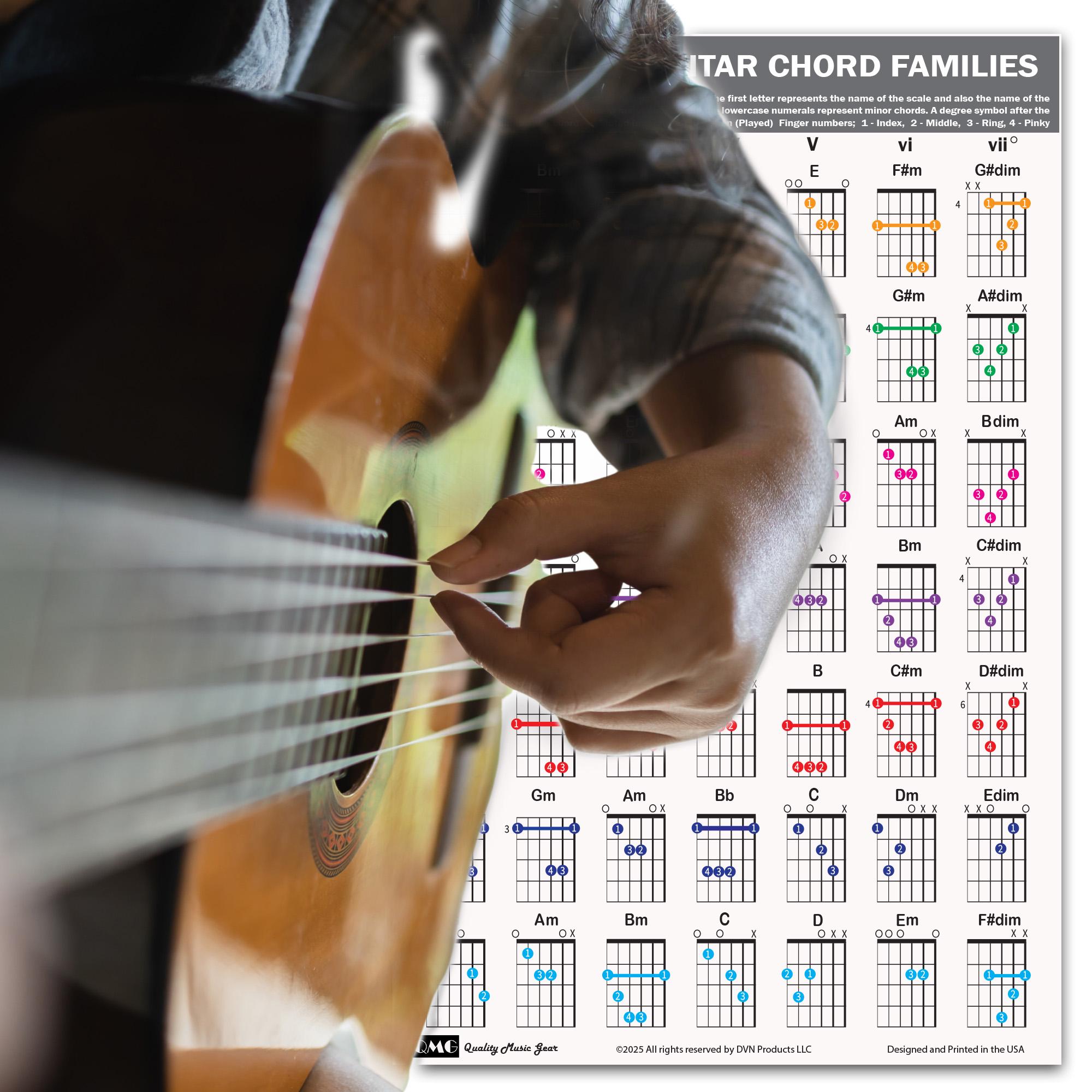 QMG Left Handed Guitar Chord Families Poster (11"x17"), Guitars ...