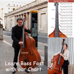 QMG Upright Bass Fingering Chart With Color-coded Notes, Double Bass ...
