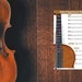 Viola Fingering Chart With Color-coded Notes, Viola Scales Techniques ...