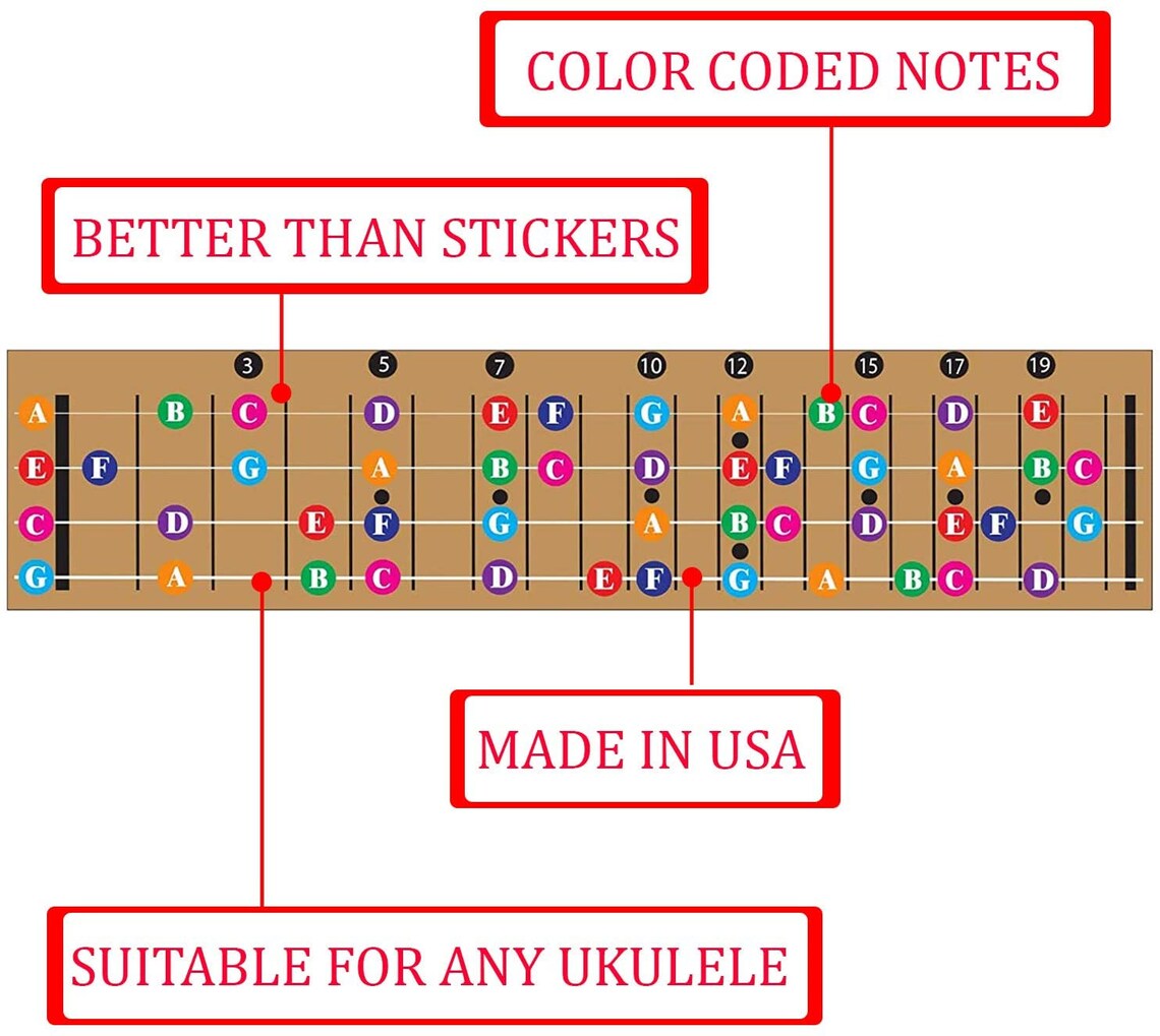 Color Coded Ukulele Guitar Fretboard Note Chart Learn to Play - Etsy