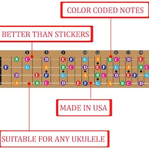 Color Coded Ukulele Guitar Fretboard Note Chart Learn to Play Guitar ...