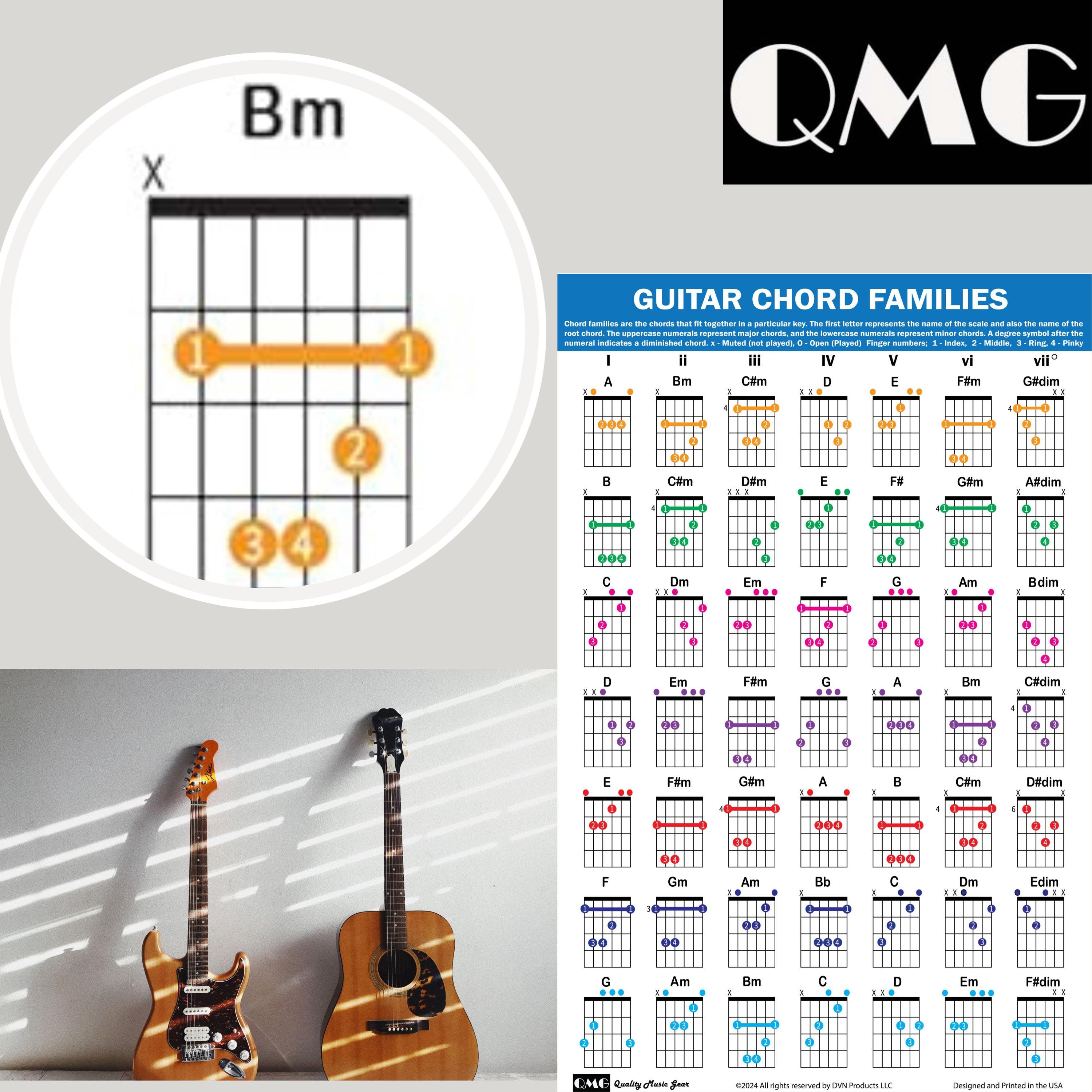 QMG Guitar Chord Families Poster (11"x17"), Guitars Accessories ...