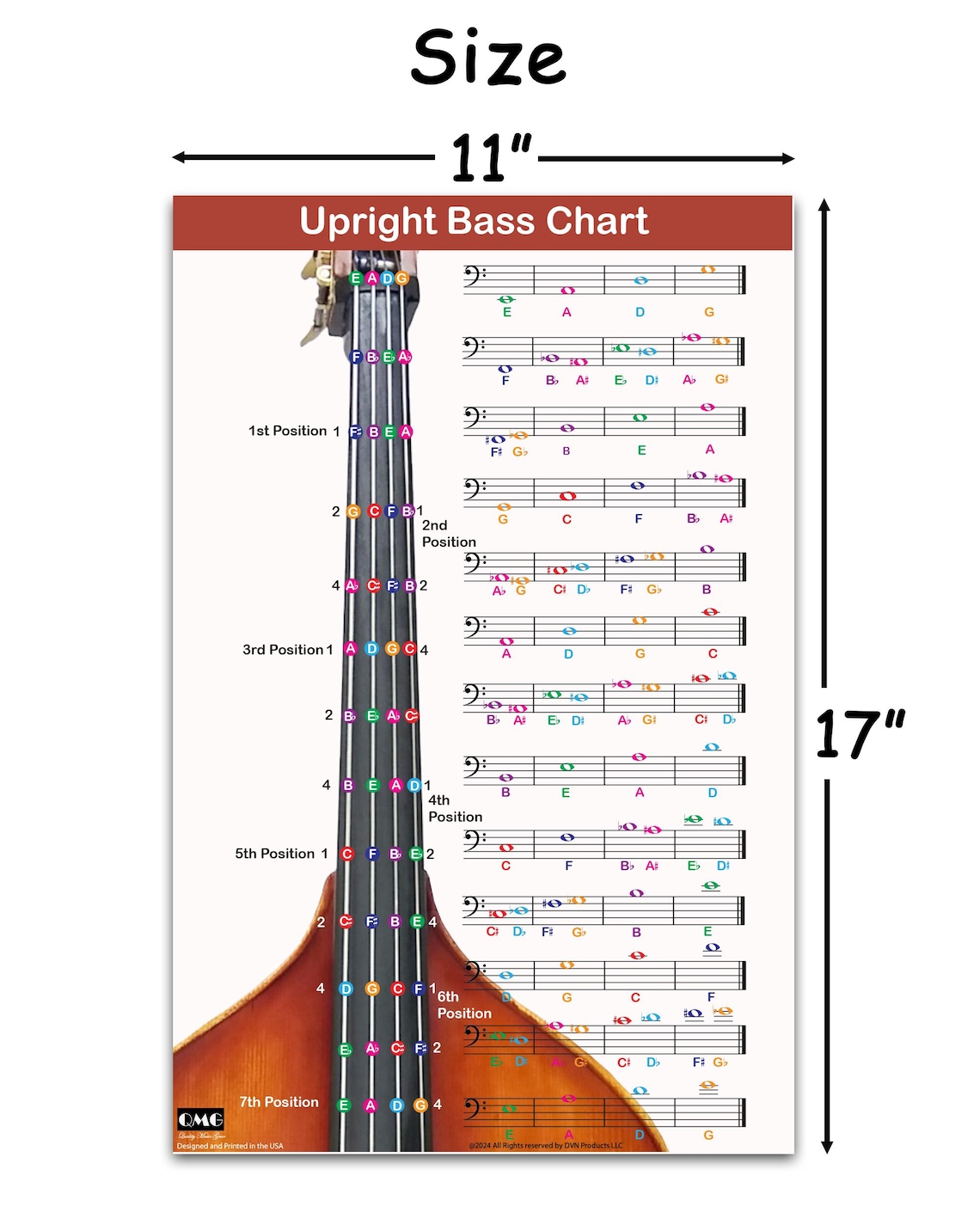QMG Upright Bass Fingering Chart With Color-coded Notes, Double Bass ...