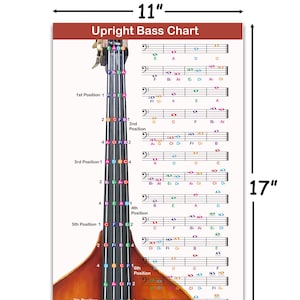 QMG Upright Bass Fingering Chart With Color-coded Notes, Double Bass ...