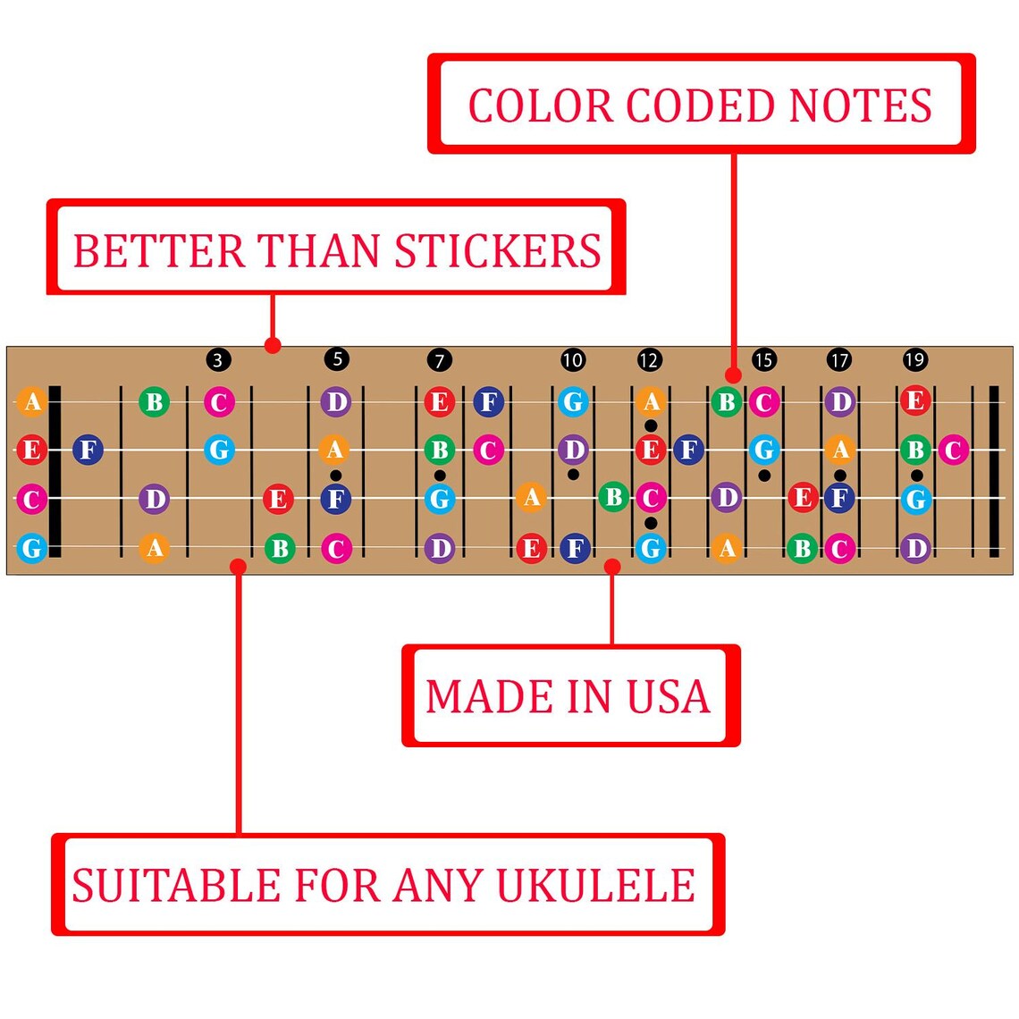 Color Coded Ukulele Guitar Fretboard Note Chart Learn to Play Guitar ...