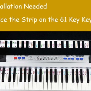61 Key Full Size Piano Rake Key, Colorful Piano Keyboard Notes for ...