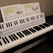 Piano and Keyboard Note Chart, Use Behind the Keys, Ideal Visual Tool ...