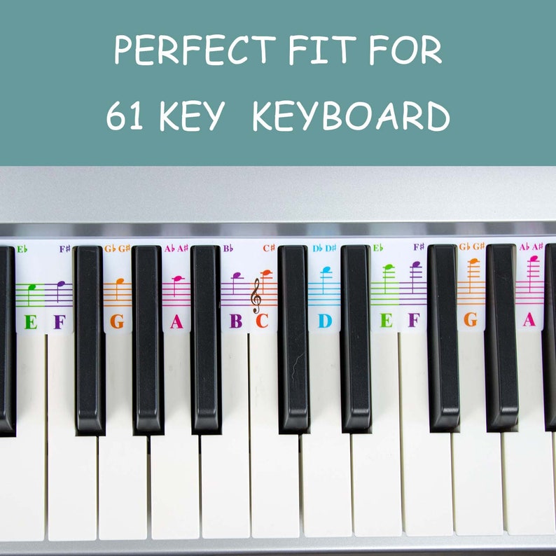 61 Key Full Size Piano Rake Key Colorful Piano Keyboard Notes - Etsy