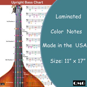 QMG Upright Bass Fingering Chart With Color-coded Notes, Double Bass ...