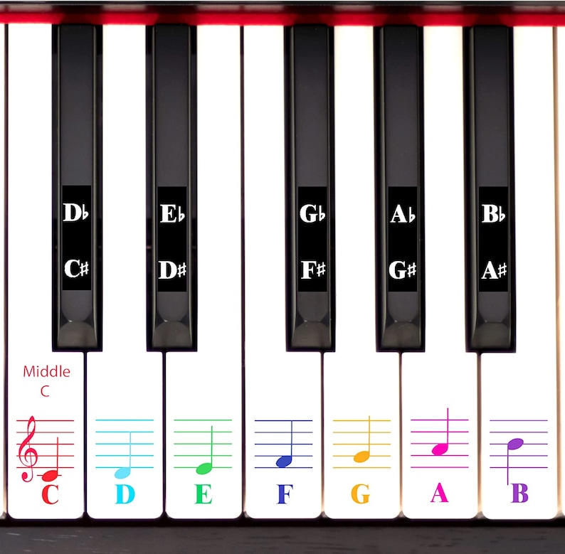 Beginner Piano Lesson Book 50 Amazing & Popular Songs and Color Piano ...