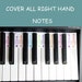 Colorful Piano Keyboard Notes for Beginner, Removable Note Labels for ...