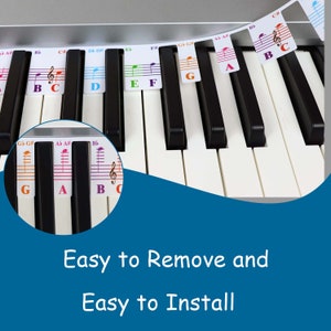 61 Key Full Size Piano Rake Key, Colorful Piano Keyboard Notes for ...
