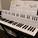 Piano and Keyboard Note Chart, Use Behind the Keys, Ideal Visual Tool ...