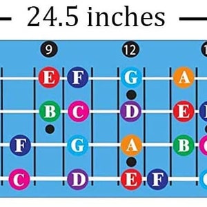 Bass Guitar Fretboard Note Chart, Learn to Play Guitar and Music Theory ...