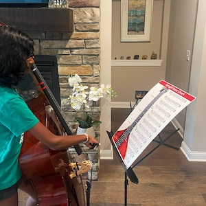 QMG Upright Bass Fingering Chart With Color-coded Notes, Double Bass ...