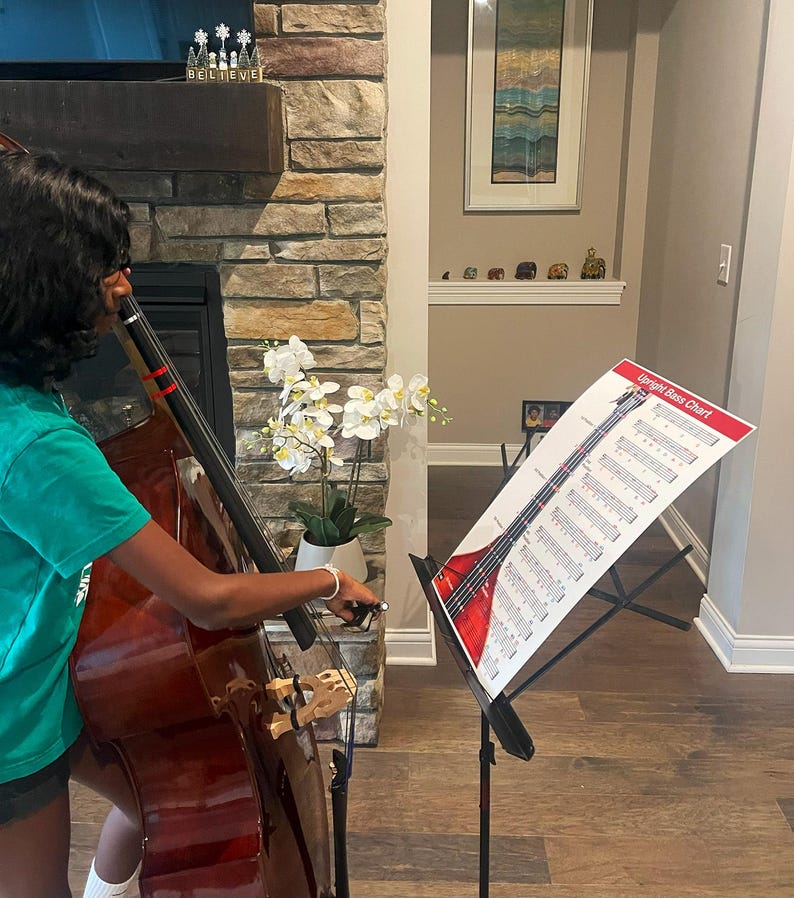 QMG Upright Bass Fingering Chart With Color-coded Notes, Double Bass ...