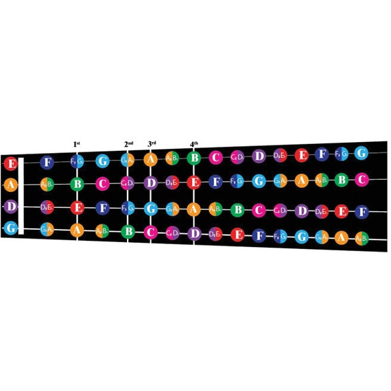 Color Coded Violin Fretboard Note Chart Learn To Play Violin Etsy