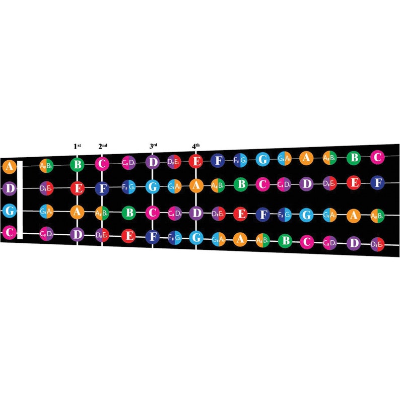 Color Coded Cello/viola Fretboard Note Chart Learn to Play - Etsy