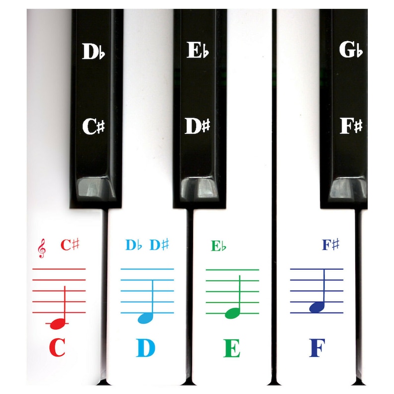QMG Piano Stickers for Keys, Colorful Piano Keyboard Stickers for 49/61 ...