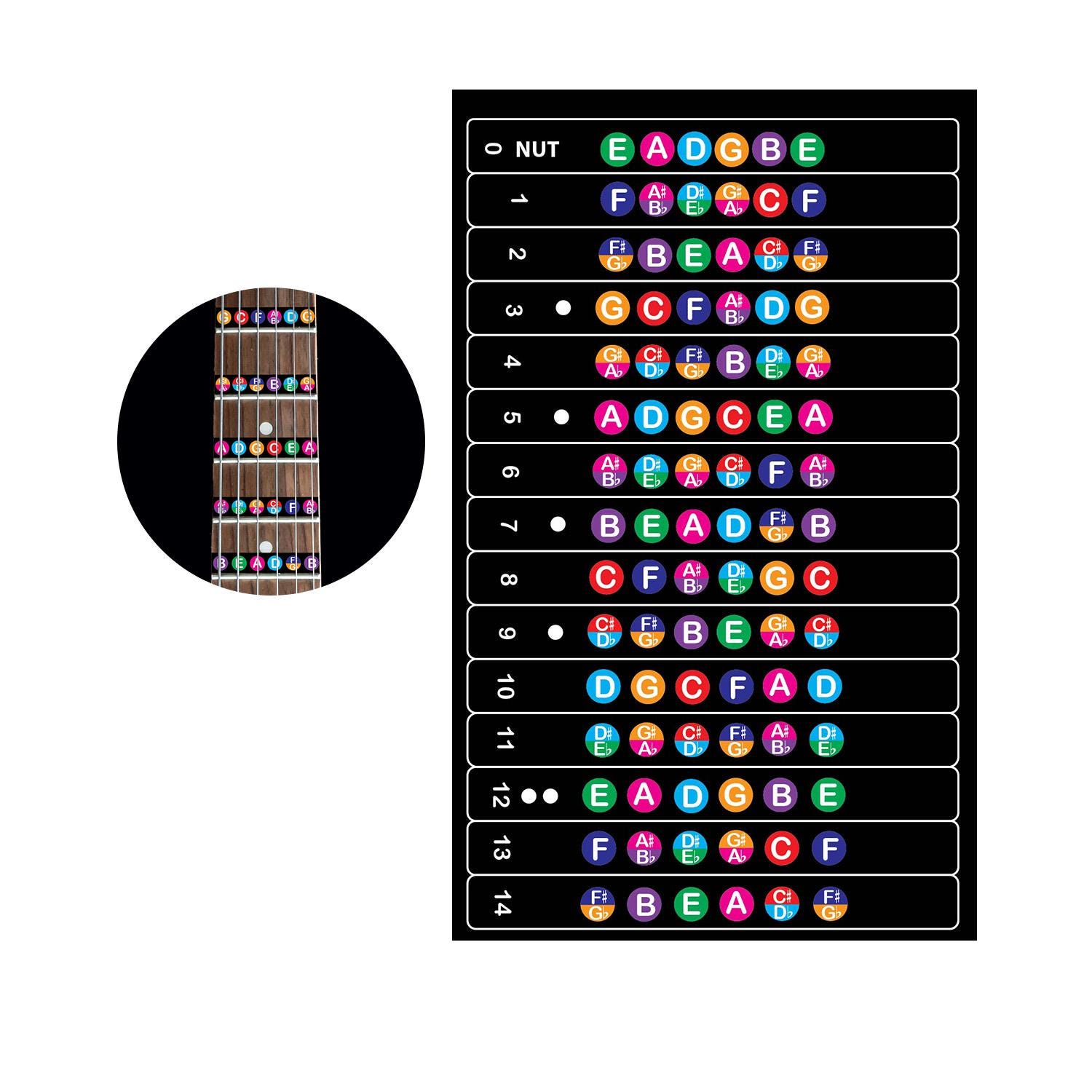 QMG Guitar Fretboard Stickers – Color Coded Note Decals for Beginners ...