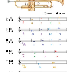 Trumpet Fingering Chart With Color-coded Notes, Learn Trumpet Technique ...